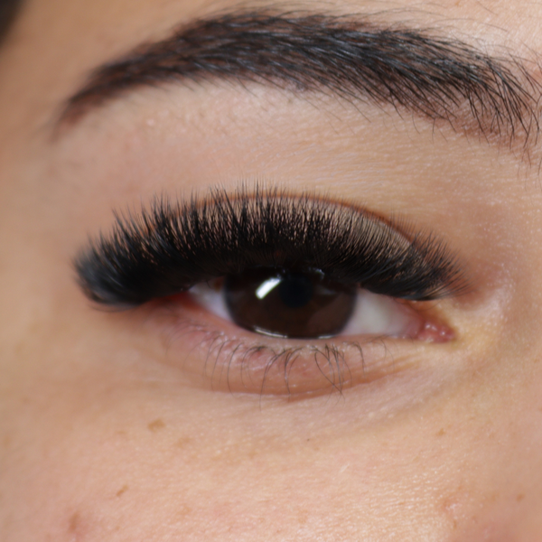 Pro-Made Lash Box 20D - Pinkfishes